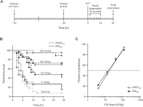 Rfixfc Prophylactic Efficacy In Hemophilia B Mice Rfixfc Recombinant Download Scientific