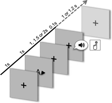 Schematic Illustration Of A Trial After A Fixation Cross A Cue