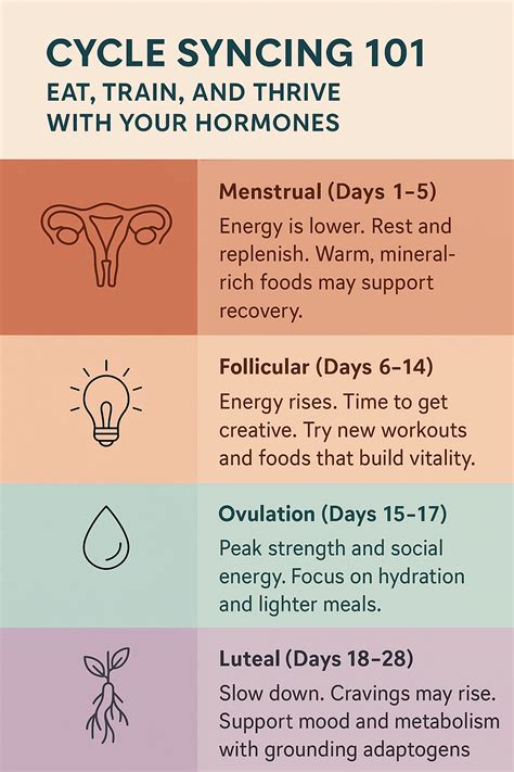 Cycle Syncing 101: How to Align Your Health Routine With Your Hormones – MRSTODDYS