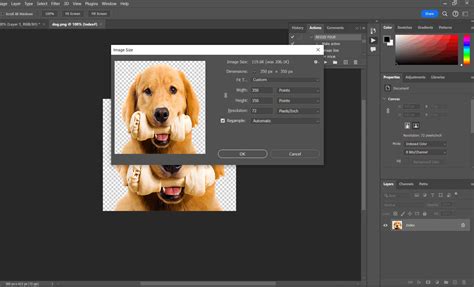 Why Is Batch Resize Image Resizing Incorrectly Adobe Community 14325445