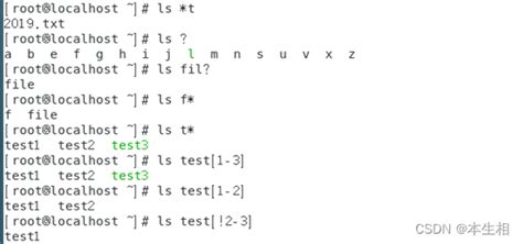 Linux操作系统 Shell程序设计最全版本（含运行截图 Csdn博客