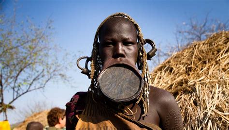Sentinelese Tribe Arrows
