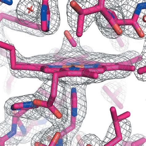 Composite Omit Maps 2mf O Àdf C Of Selected Structures Maps Were Download Scientific