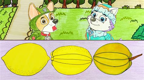 手绘定格动画：汪汪队小克和珠珠居然吃到了柠檬味的杨桃 腾讯视频