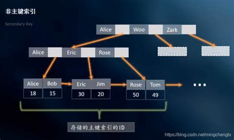 Mysql 聚集索引和非聚集索引区别非主键所以和非聚集索引 Csdn博客 Mysql 聚集索引和非聚集索引区别非主键所以和非聚集索引 Csdn博客