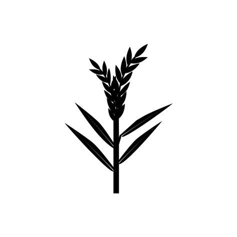 유럽 마초 종자 시장 규모 및 점유율 분석 산업 연구 보고서 성장 동향 유럽 마초 종자 시장 규모 및 점유율 분석 산업 연구 보고서 성장 동향