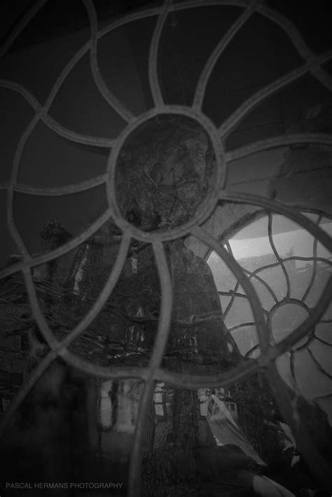 Travel © Pascal Hermans