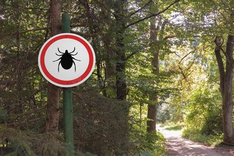 Tick Insect Warning Sign In Forest Stock Photo Image Of Tick Infested 239219822