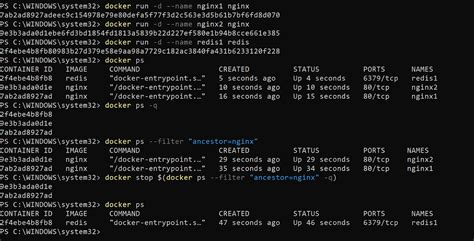 O Docker Interrompe Todos Os Contêineres Um Guia Passo A Passo Datacamp