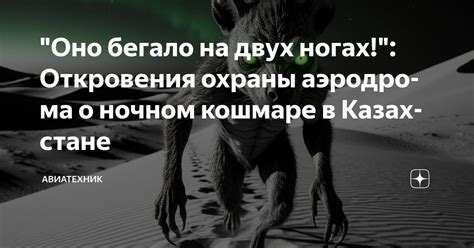 Оно бегало на двух ногах Откровения охраны аэродрома о ночном кошмаре в Казахстане