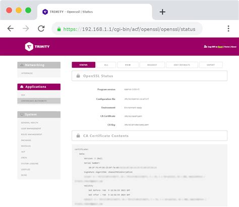 GitHub trinity labs trinity skin TRIИITY Skin Alpine ACF