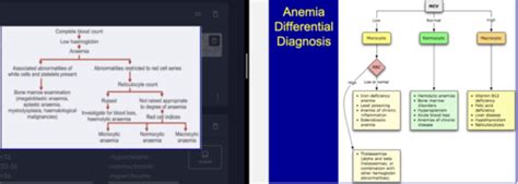 Heme Onc Flashcards Quizlet