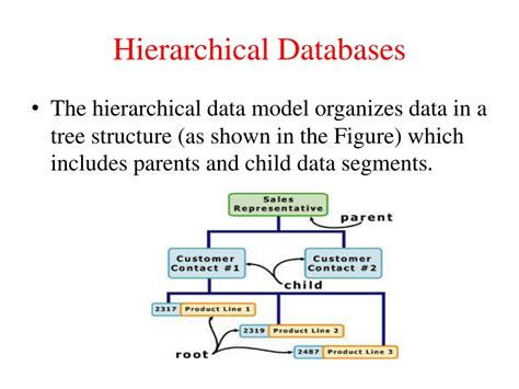Ppt Database Management System Powerpoint Presentation Free Download Id2832607