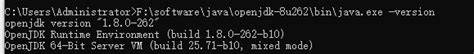 Mcp 1165 Fucked Up Like Found Java Version 180 Minimum Required