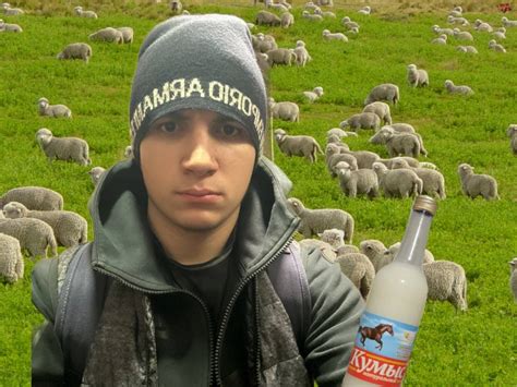 Создать мем овцы на пастбище овчарня для овец разведение овец