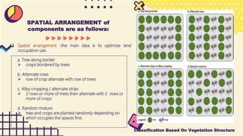 Definitions And Classification Of Agroforestry Systems Pptx