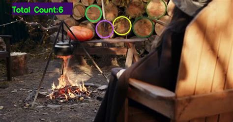 😆testing In Cluttered And Occlusion Environment Counting Logs In The Sunny Kumar