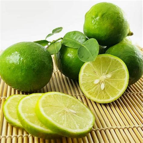 Gambar Jeruk Nipis Asli 54 Koleksi Gambar