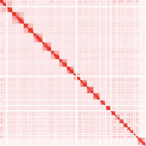 github aidenlab welcome getting started with hi c data analysis