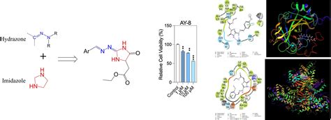 Synthesis Biological Activity Evaluation And Molecular Docking Of Imidazole Derivatives