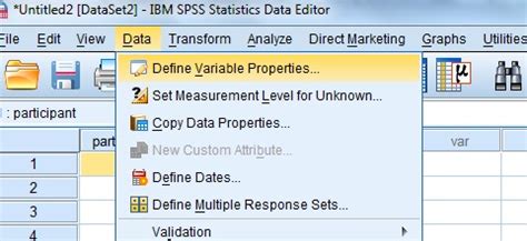How To Enter Data Into SPSS And Define Variables Statistics How To