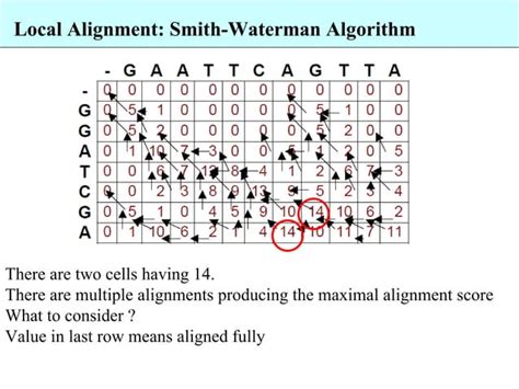 Sequence Alignments Complete Coverage Ppt