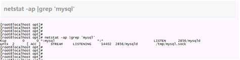 netstat命令的使用详情 51cto博客 linux netstat命令详解