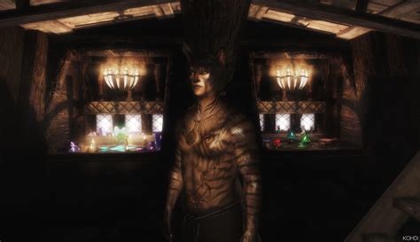 Captain Of The Dev Aveza At Skyrim Nexus Mods And Community