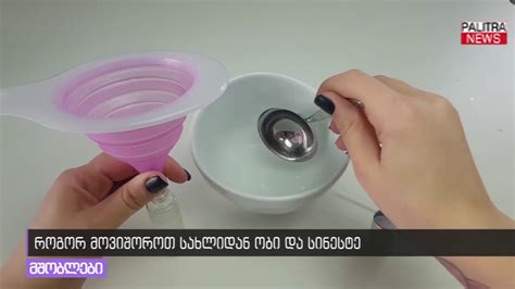 როგორ მოვიშოროთ სახლიდან ობი და სინესტე Youtube