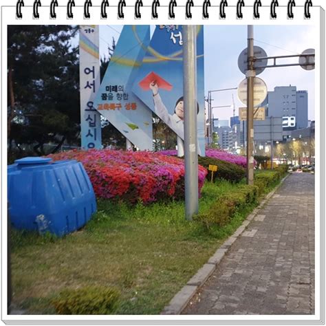 카에어컨 고장으로 인피니트 Qx60 올뉴스포티지 Ql 콤푸레샤 교환 수리 혜성카에어컨 네이버 블로그