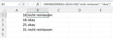 Excel Oder Funktion Schnell Verstehen