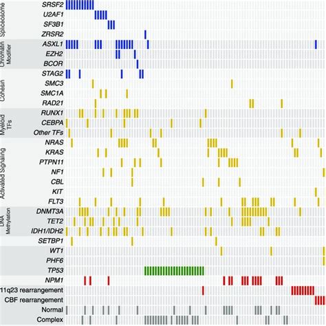 Mutations In Therapy Related Aml A Comutation Plot Shows Nonsynonymous
