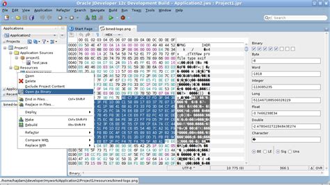 Bined Binary Hex Editor Bined Binary Hex Editor