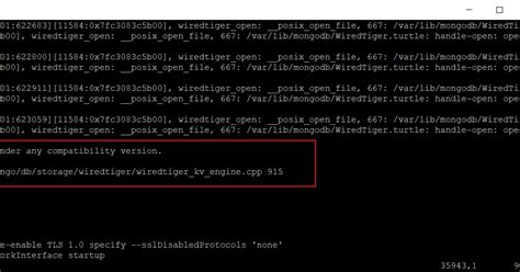 it 小筆記 mongodb 不正常關機後，重啟出現 permission denied