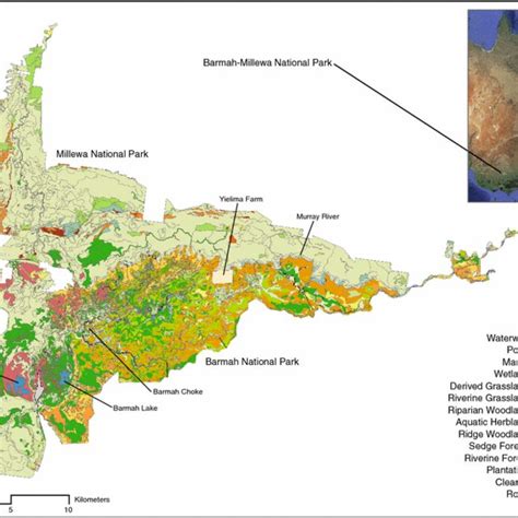 Vegetation Classifications For The Barmah Millewa Forest Based On Download Scientific Diagram