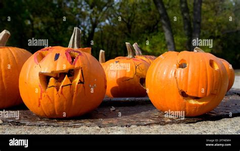 Scary But Comic Halloween Jack O Lanterns Pumpkins Outdoors Stock