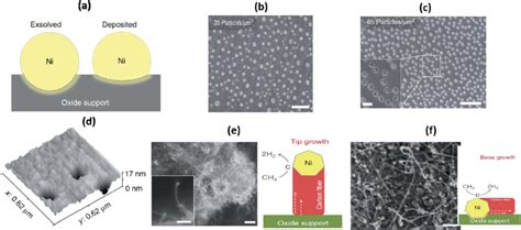 A Schematic Illustration Of The Particlesubstrate Interface For Download Scientific Diagram