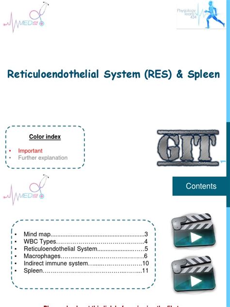 Reticuloendothelial System Res Pdf Granulocyte Spleen