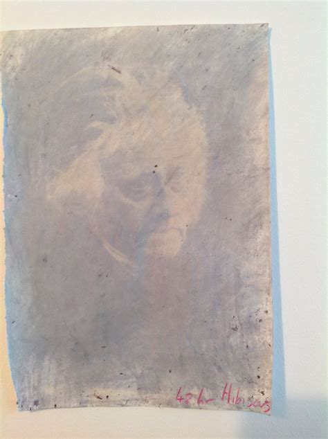 Another 48 Hrs Hibiscus Leavesalcohol Paper Anthotype