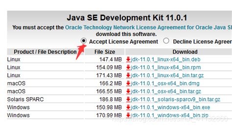 java jdk11 环境变量配置 csdn博客