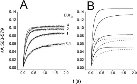 Pre Steady State Kinetics Of Cytochrome B Reduction By Decyl Ubiquinol Download Scientific