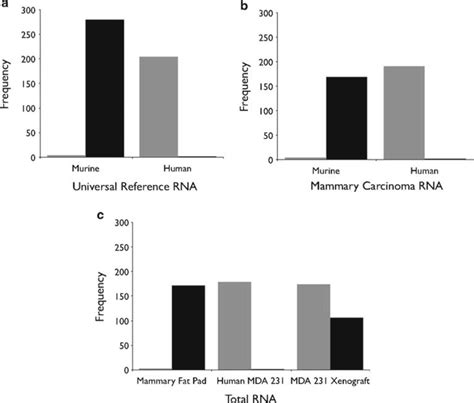 Microarrays For Protease Detection In Tissues And Cells Pmc