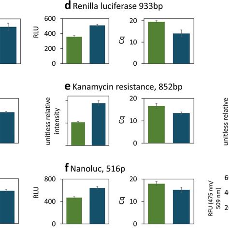 Performance Of T7max Vs T7 Promoter In Different Template Lengths All Download Scientific