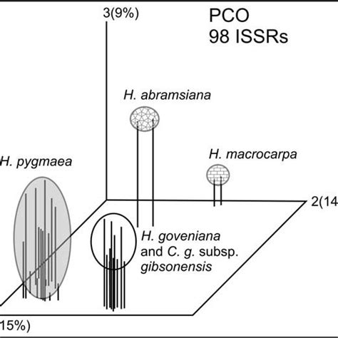 Pco Of H Goveniana Cupressus Goveniana Subsp Gibsonensis And H