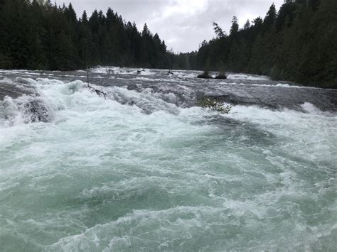 Nymph Falls After A Week Of Rain Rbritishcolumbia