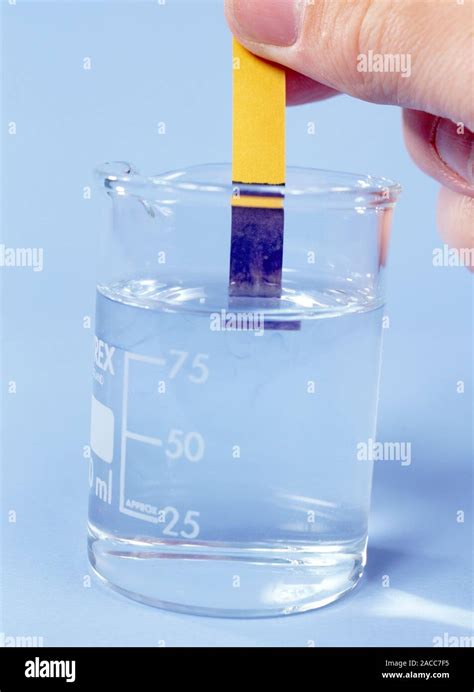 Universal Indicator Paper Being Dipped Into An Alkaline Solution