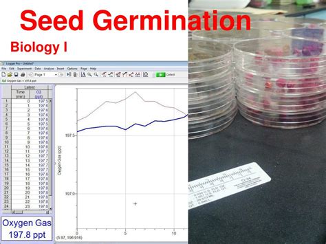 PPT Seed Germination PowerPoint Presentation Free Download ID