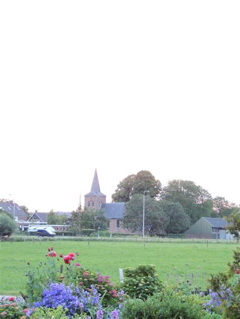 Beautiful Field of Flowers in Lathum