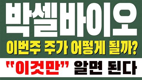 박셀바이오 주가전망 이번주 주가 어떻게 될까 이것만 알면 된다 Youtube
