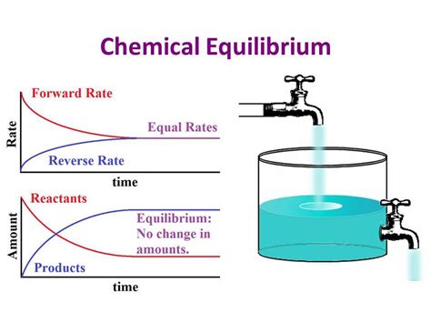 Mastering Chemical Equilibrium Put Your Skills To The Test With These
